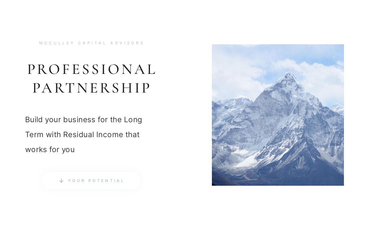 Professional Partnership